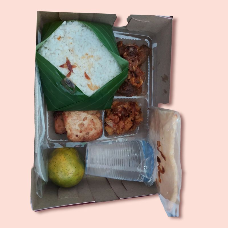 Paket Nasi Box - Tanpa Snack