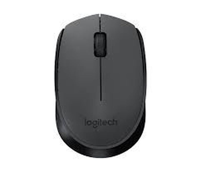 Mouse Wireless Logitech M170
