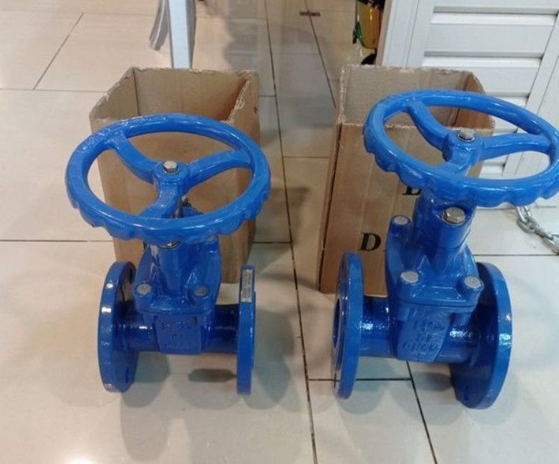 Gate Valve 2 Inch