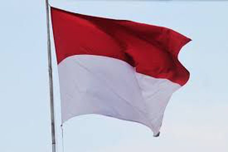 Bendera 2 x 3 Serta Tampar