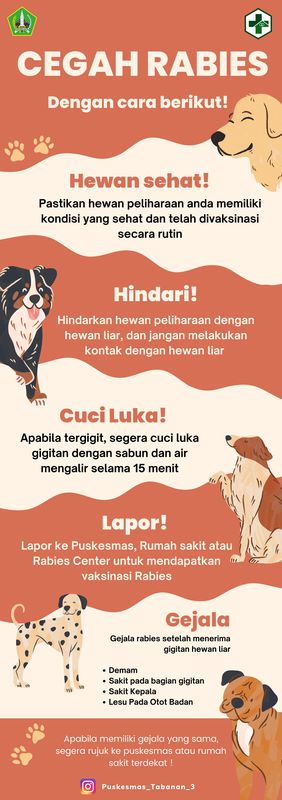 banner cegah rabies (puskesmas tabanan 3)