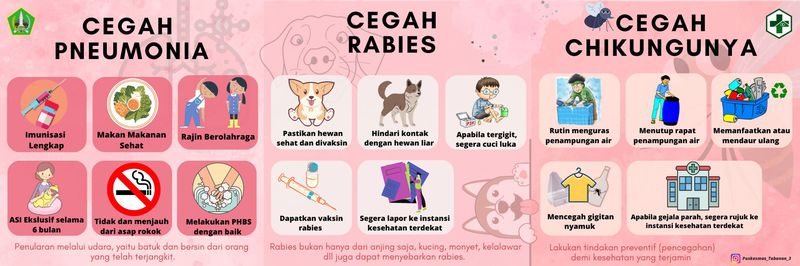 spanduk cegah rabies, pneumia, chikungunyah (puskesmas tabanan 3)