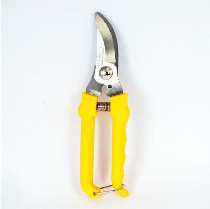 Gunting Dahan Ranting