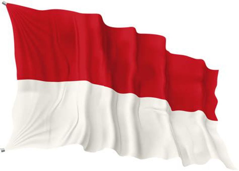 BENDERA (ISI 4 BENDERA)