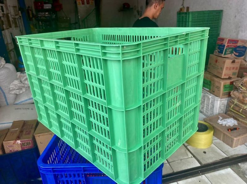 KERANJANG PLASTIK BESAR BIBIT