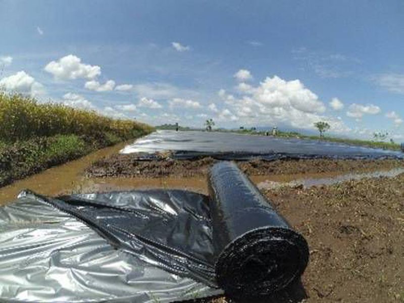 MULSA TANAMAN 50 / 100 X 570 mtr