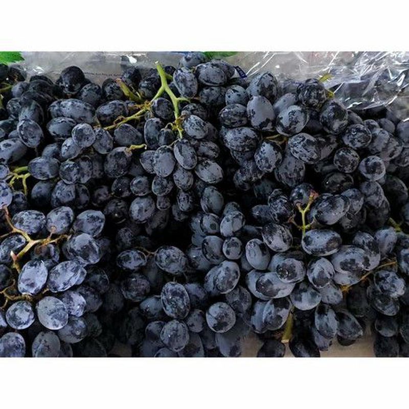 anggur hitam tanpa biji