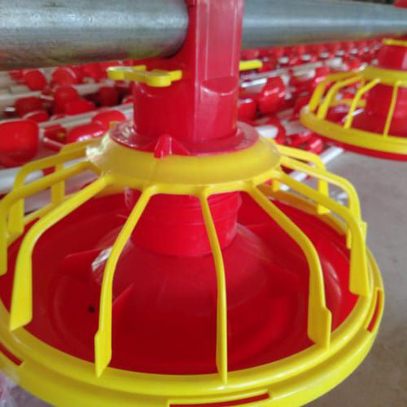 Tempat Pakan Ayam Otomatis