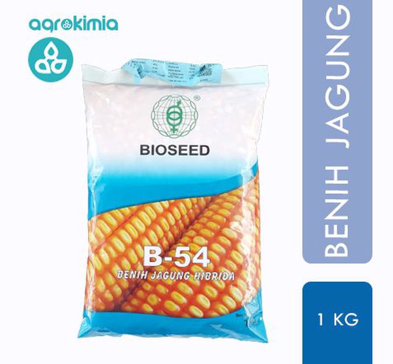 Benih Jagung Hibrida Bioseed B-54 Kemasan 1 Kg Asli