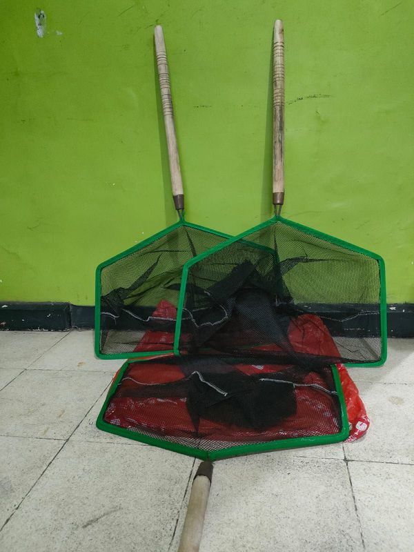 Seser Ikan Lebar 60 cm