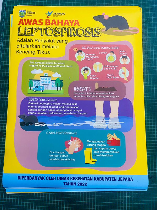 POSTER LEPTOSPIROSIS A2+
