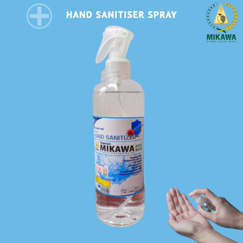 Hand Sanitizer Spray BTL 550ML