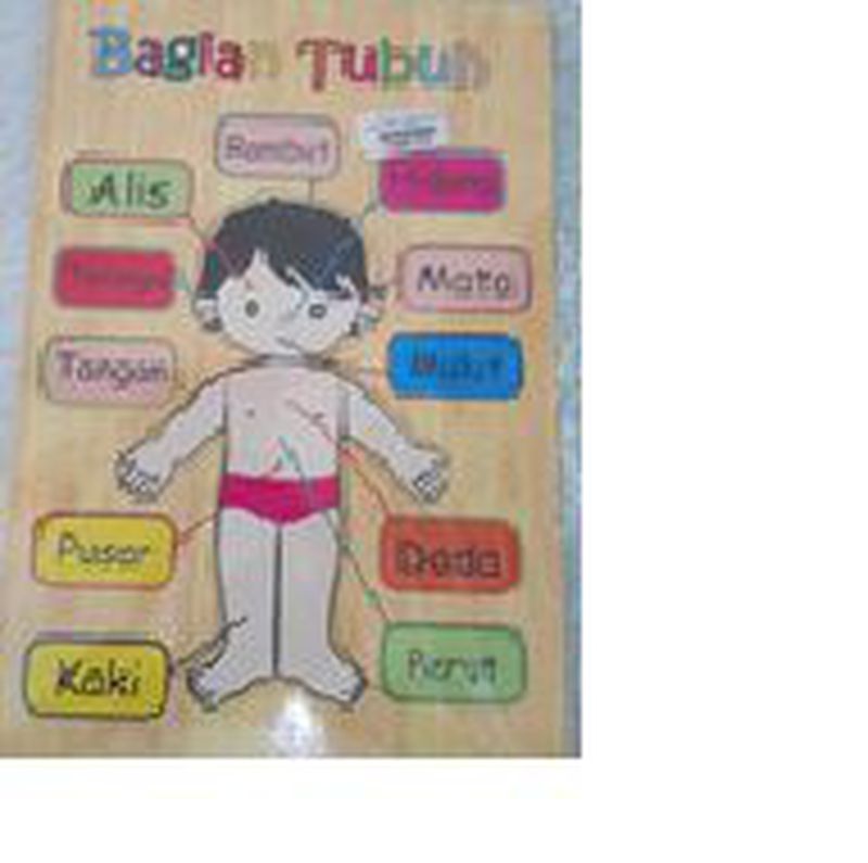Puzzle Anggota Tubuh