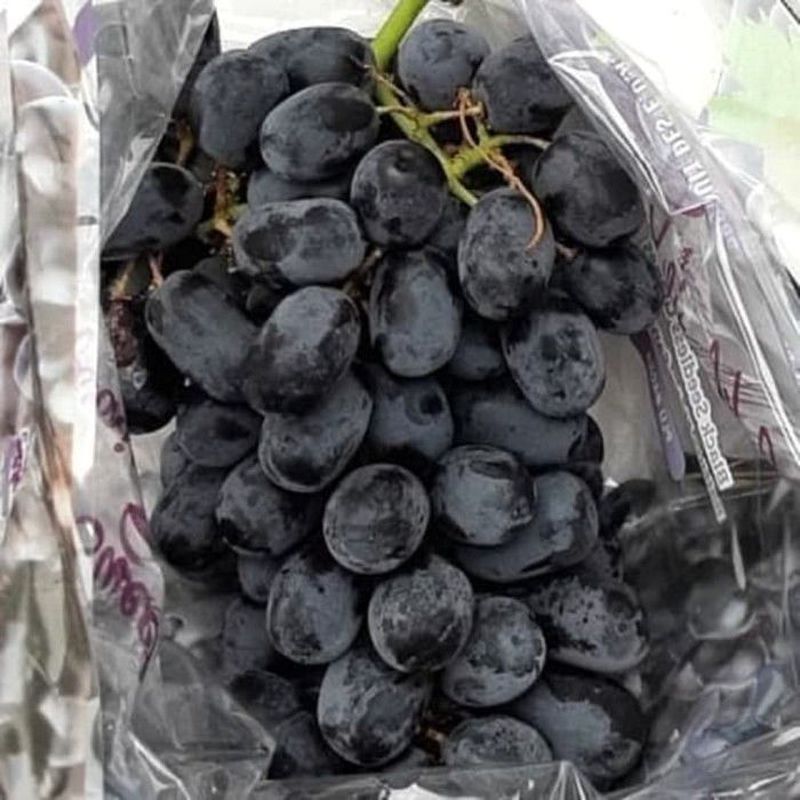 ANGGUR HITAM 500 GR (pack)