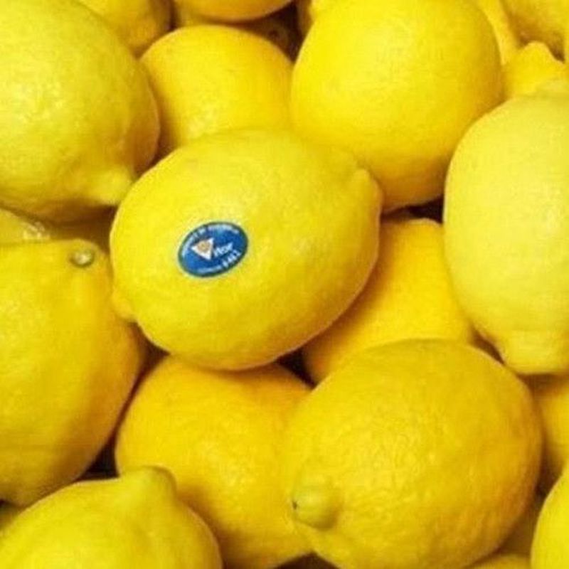 Lemon Import