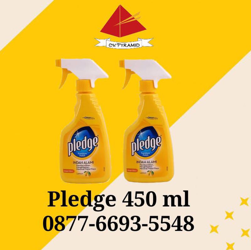 PLEDGE 450 ML