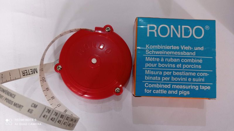 Rondo (alat pengukur lingkar dada sapi/babi)