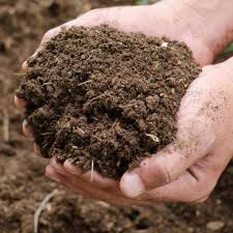 Media Tanam - Tanah Top Soil