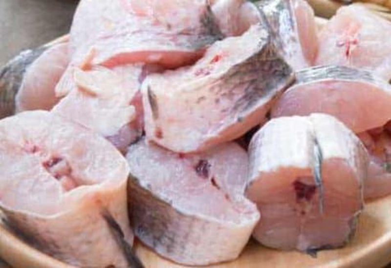IKAN GABUS