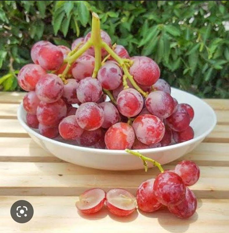 anggur merah fresh