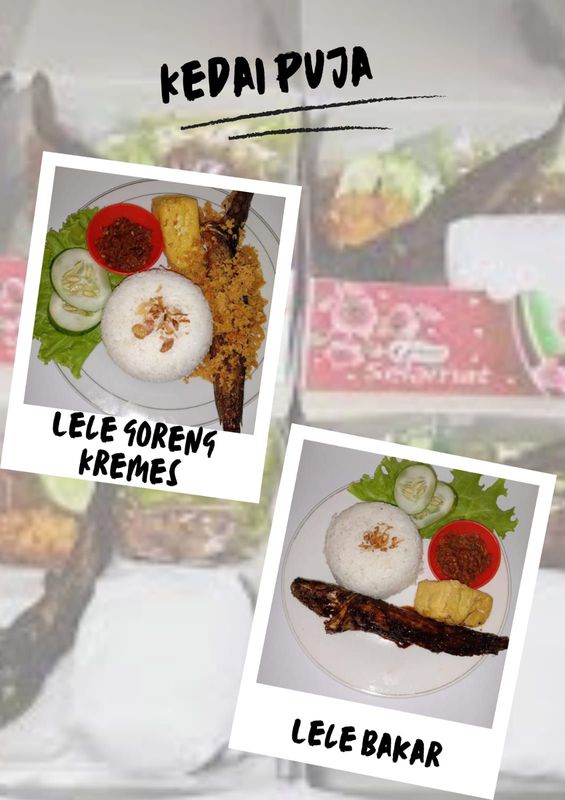 Paket Catering Nasi Box Lele - Paket 1