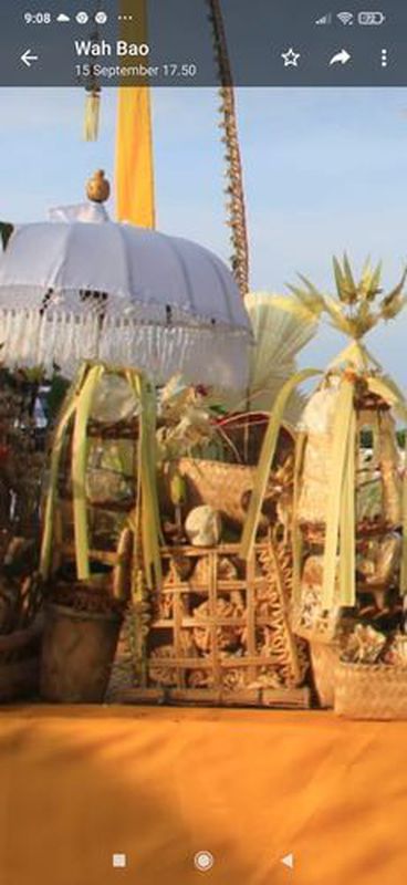 Sorohan Bebangkit Kuning Itik