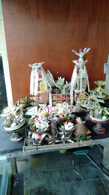 Sorohan Bebangkit Penyineb