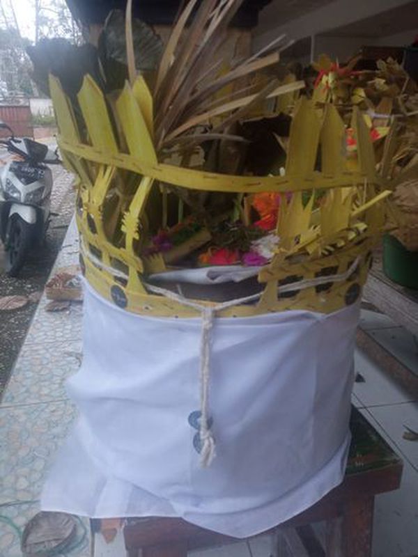 Pulekerti Alit Putih