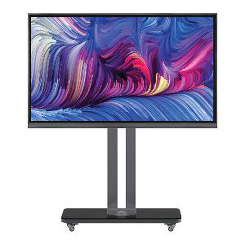 Interactive Flat Panel ADS 65 With Mobile Stand