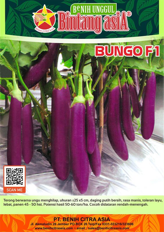 Terong Bungo F1 - 5 Gram
