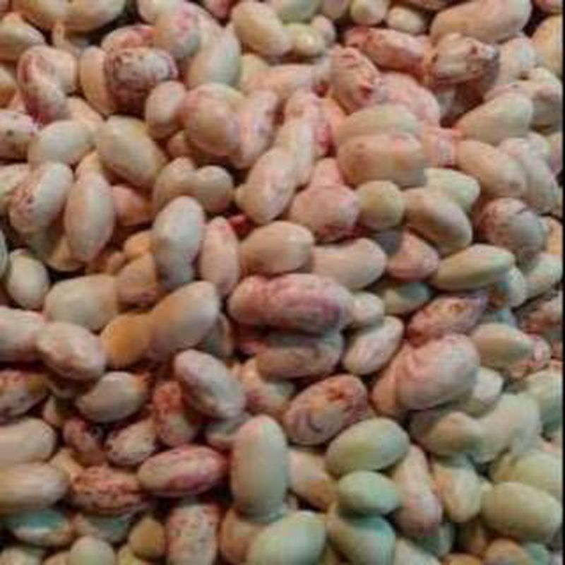 Kacang Endul Premium