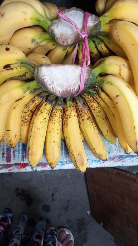 pisang gapi