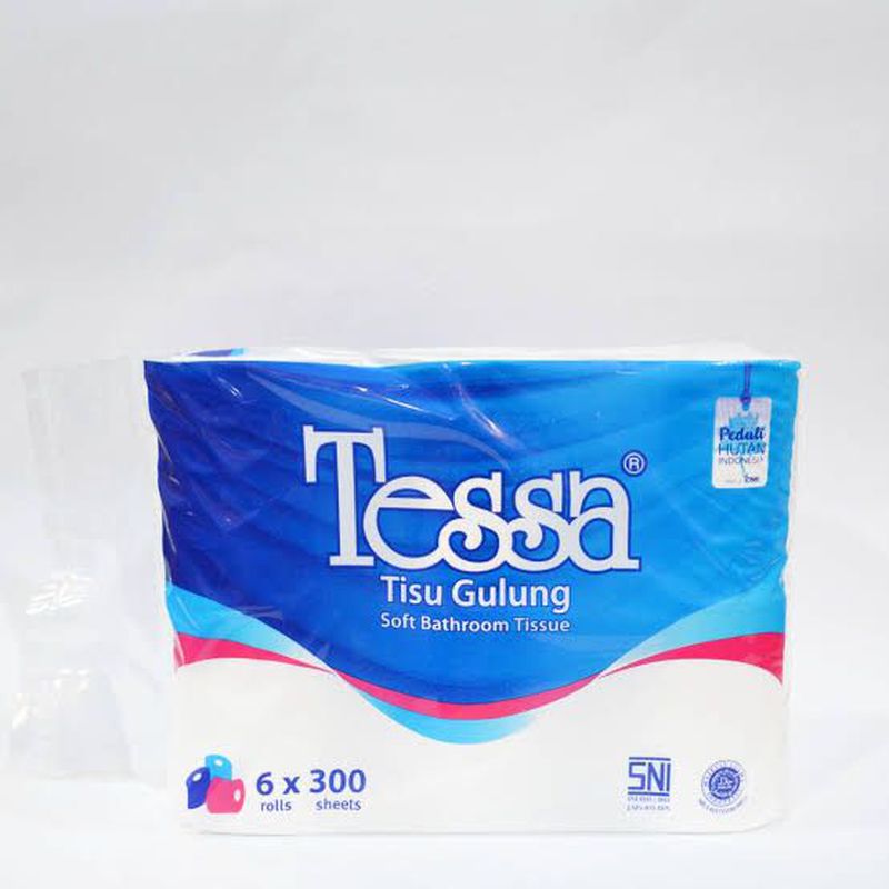 TISSUE ROL (PB-02) 300S 6ROL TESSA
