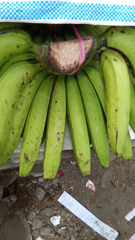 pisang ambon