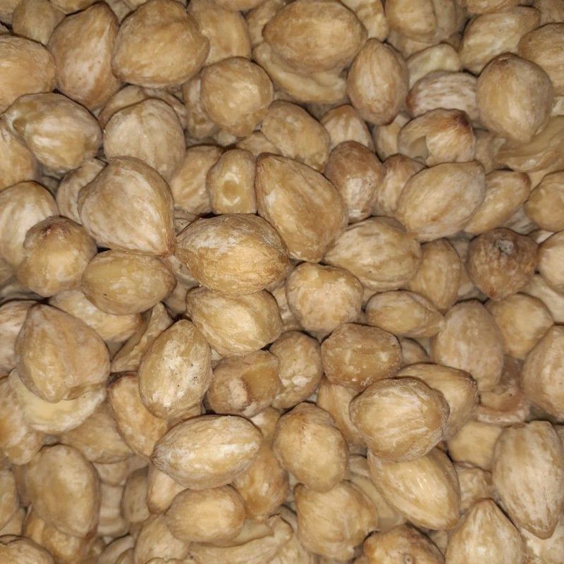 Kemiri