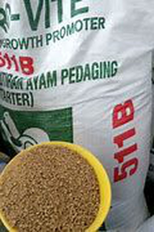 pakan ternak unggas-pakan jadi