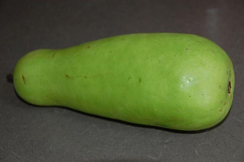 labu putih / labu air / waluh putih