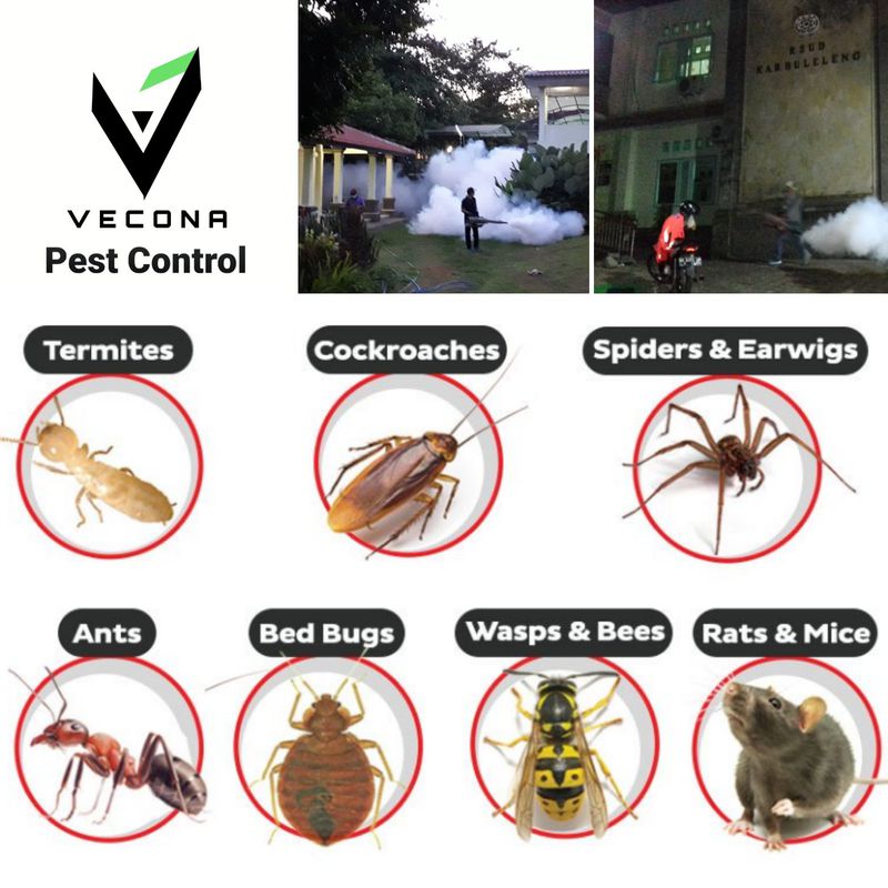 Jasa Pest Control