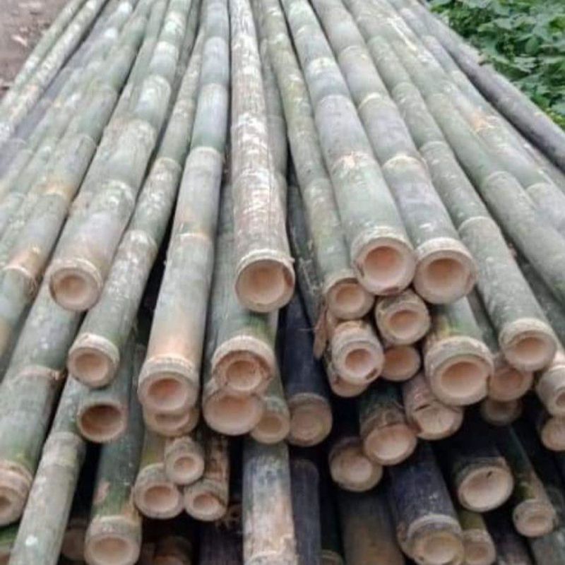 Bambu Standar Bahan Bangunan