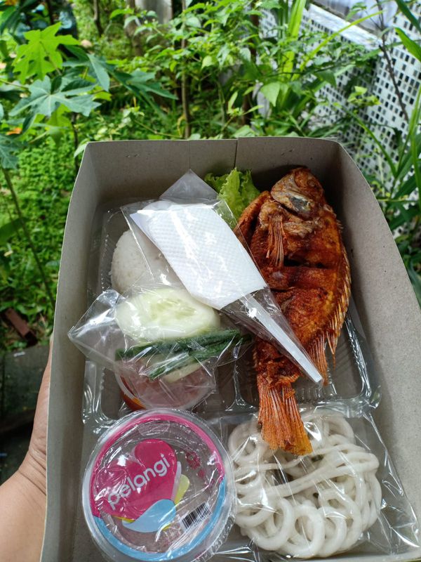 paket nasi 2