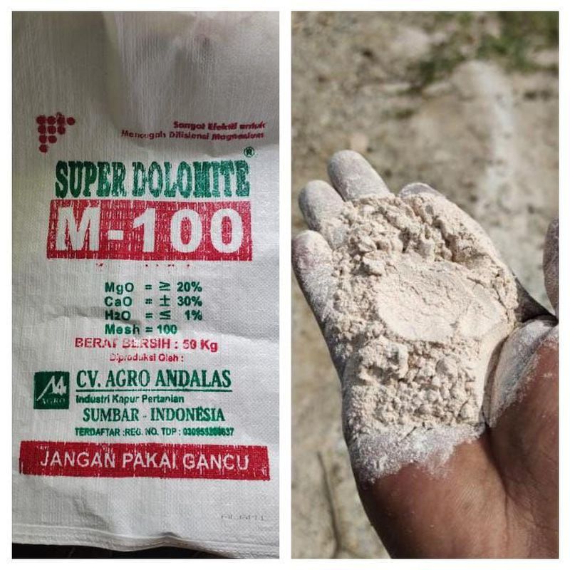 SUPER DOLOMITE M-100