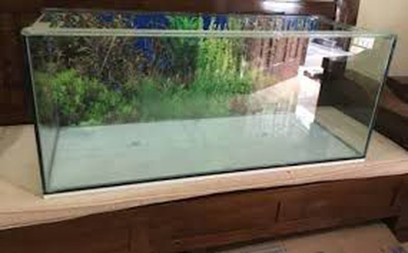 Aquarium Kaca