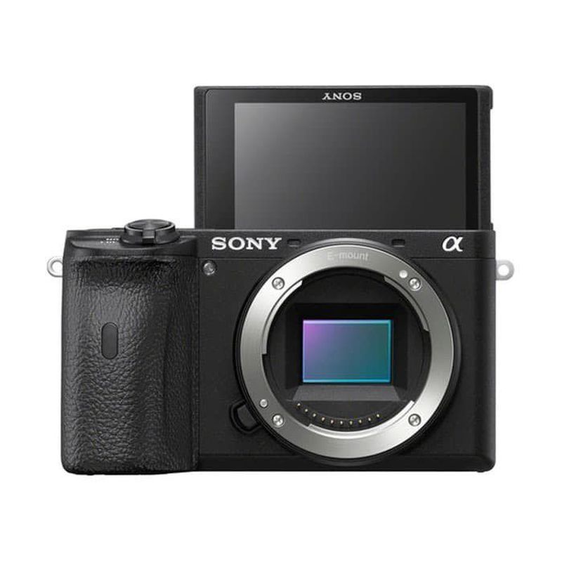 Sony A6600