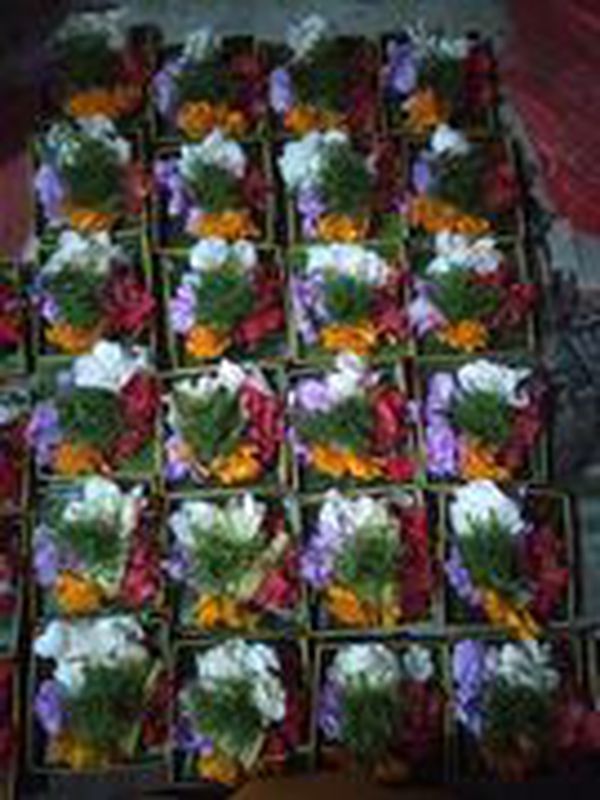 Canang sari / cau kecil