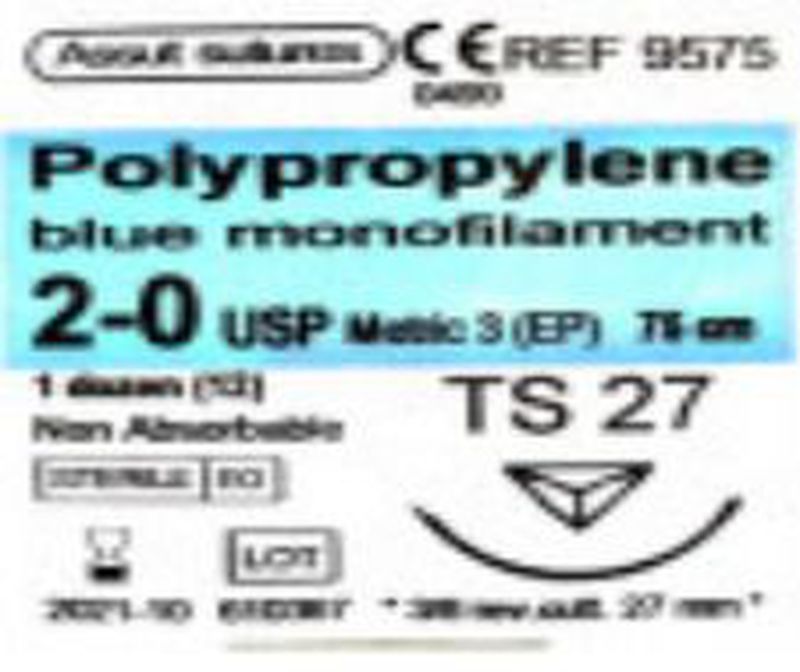 POLYPROPYLENE 2/0 TS-27 9575