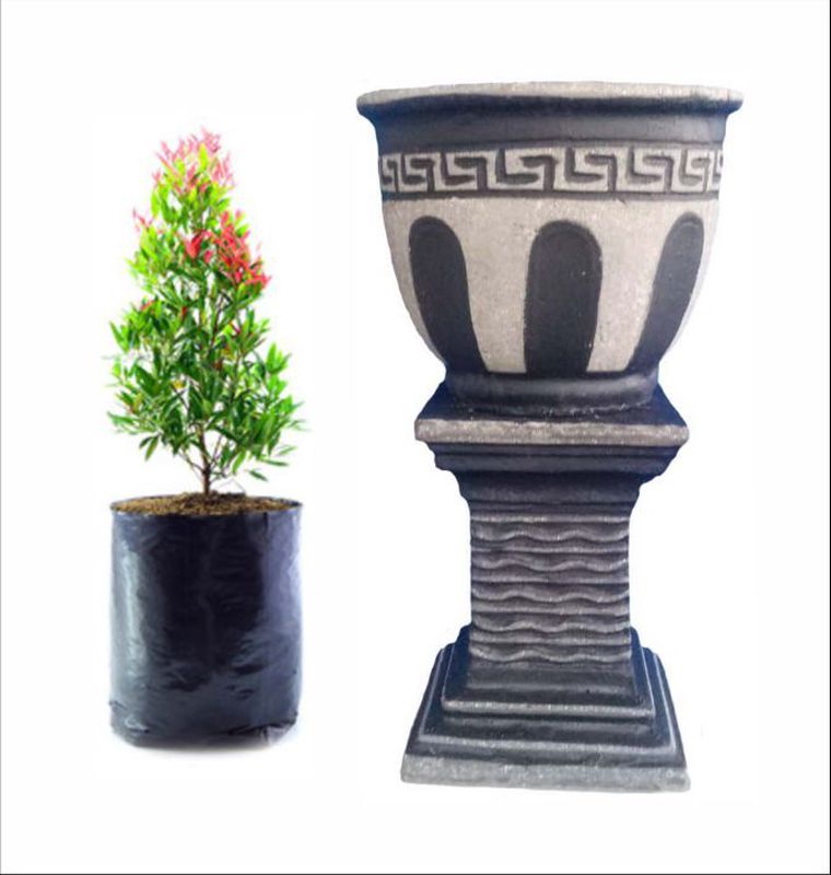 Pot Bulat - Ompak - Bibit Tanaman Hias