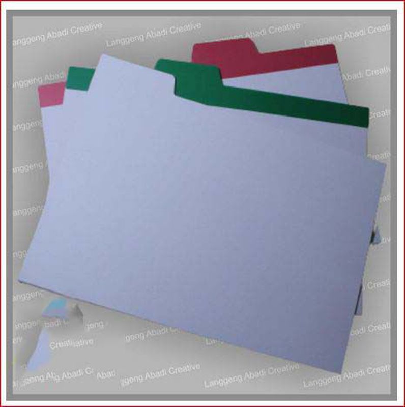 SEKAT MAP ARSIP (Karton sekat file warna)