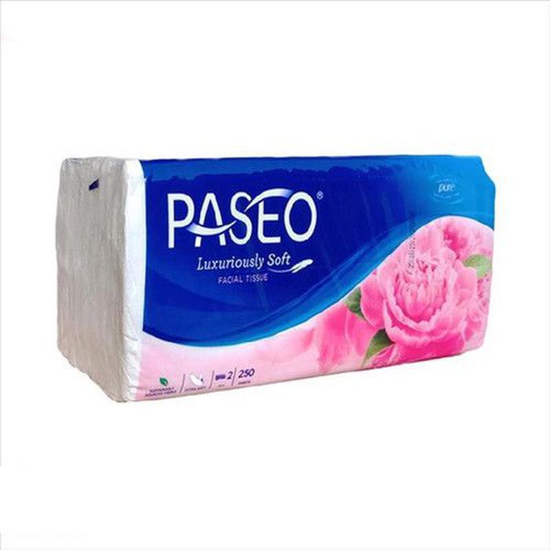 Tisu Kotak 250 shet