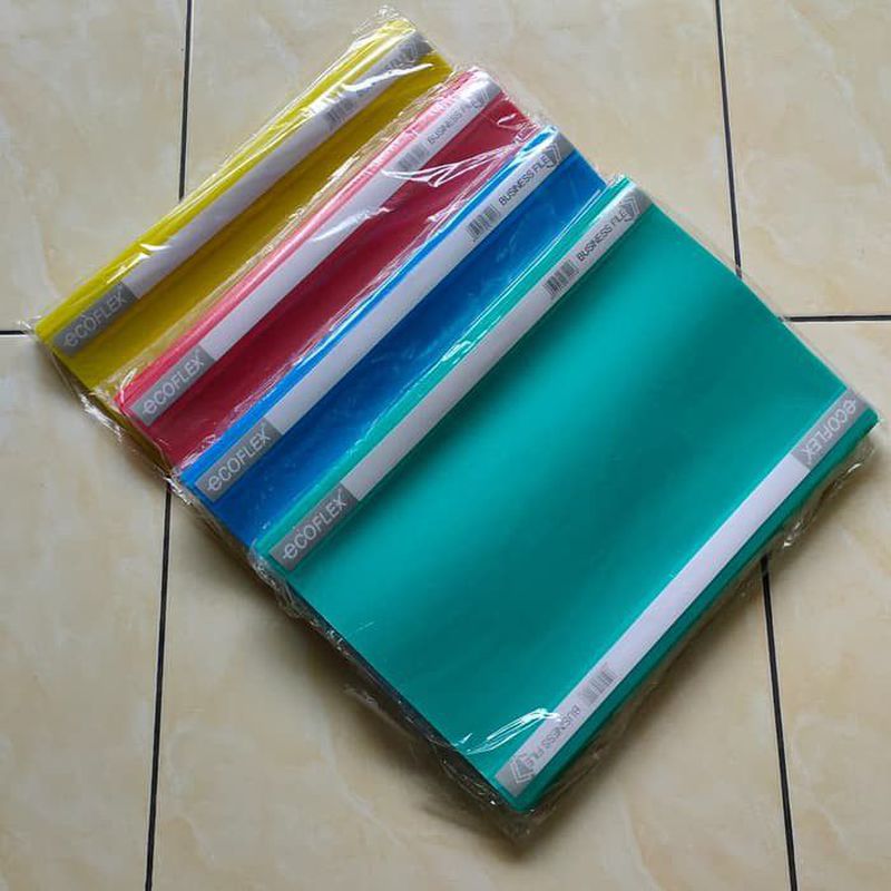 Business File Plastik