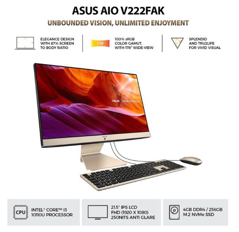 ASUS AIO V222FAK
